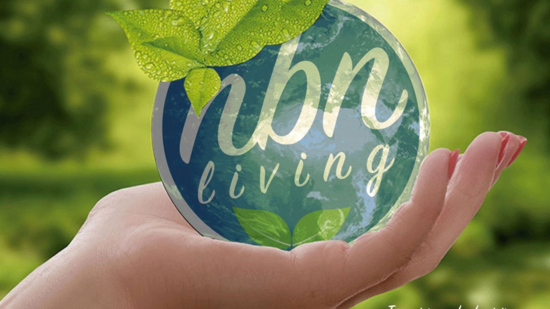 Oportunidad de negocio NBN Living